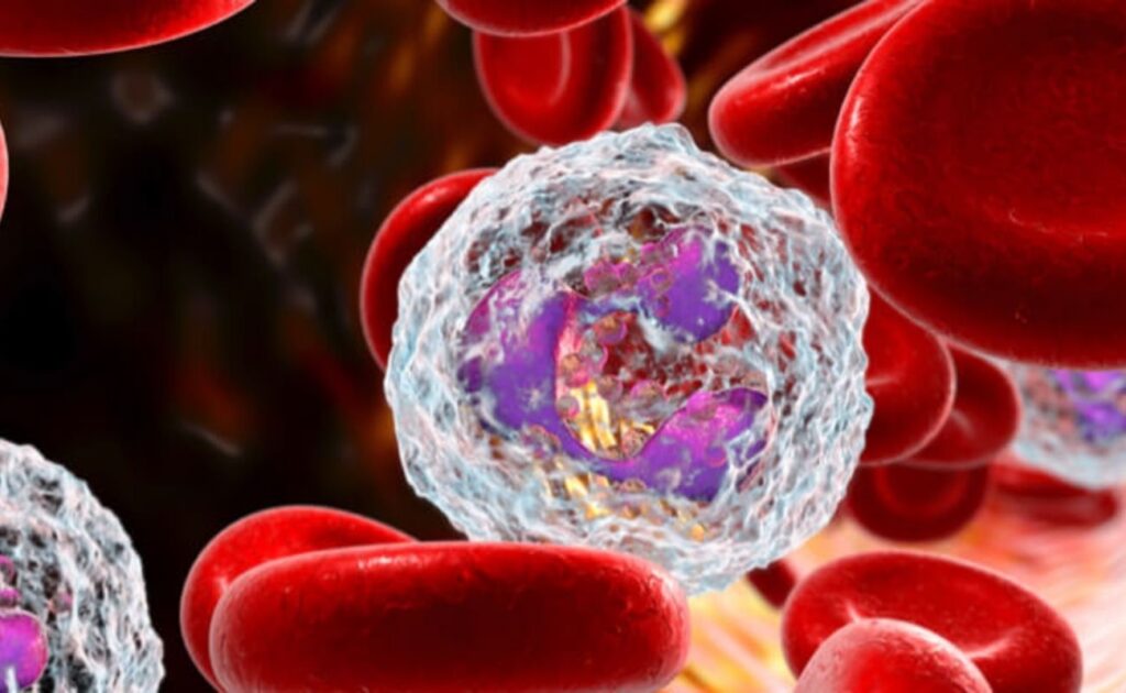 ¿Sabes qué es la basofilia? - Color Visión